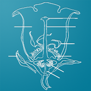 Login - New England Water Works Association